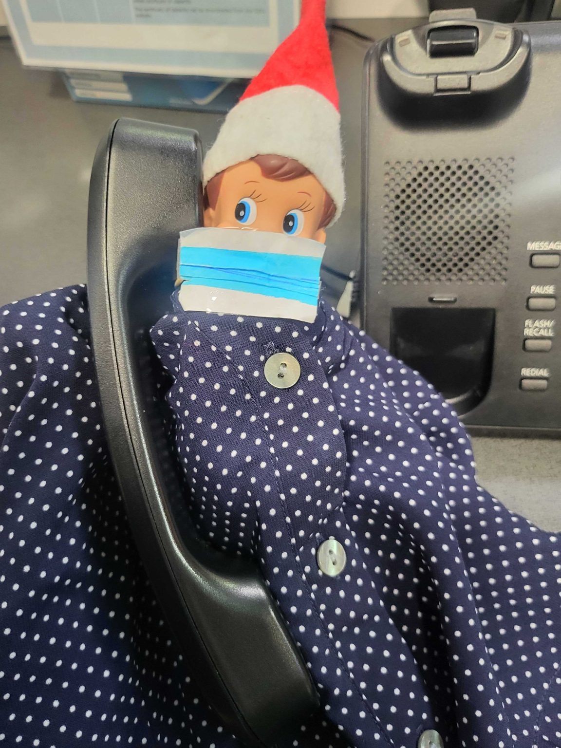 Welcome to our newest Receptionist “Elfis”. – Greenmeadows Medical ...